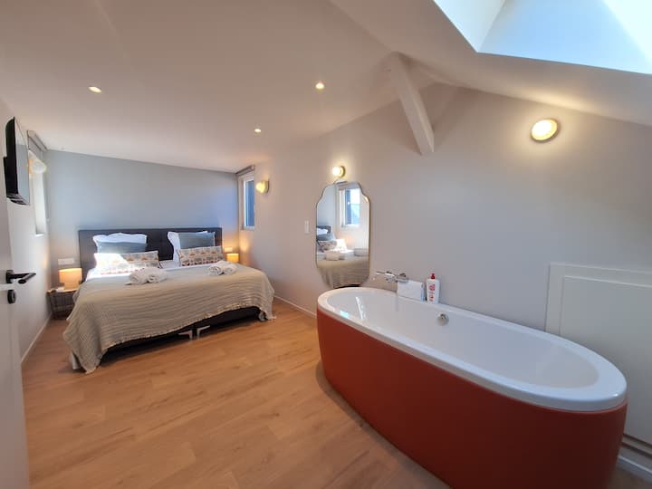 L'amiral Appartement 1 Chambre - Résidence Champ D - Colmar