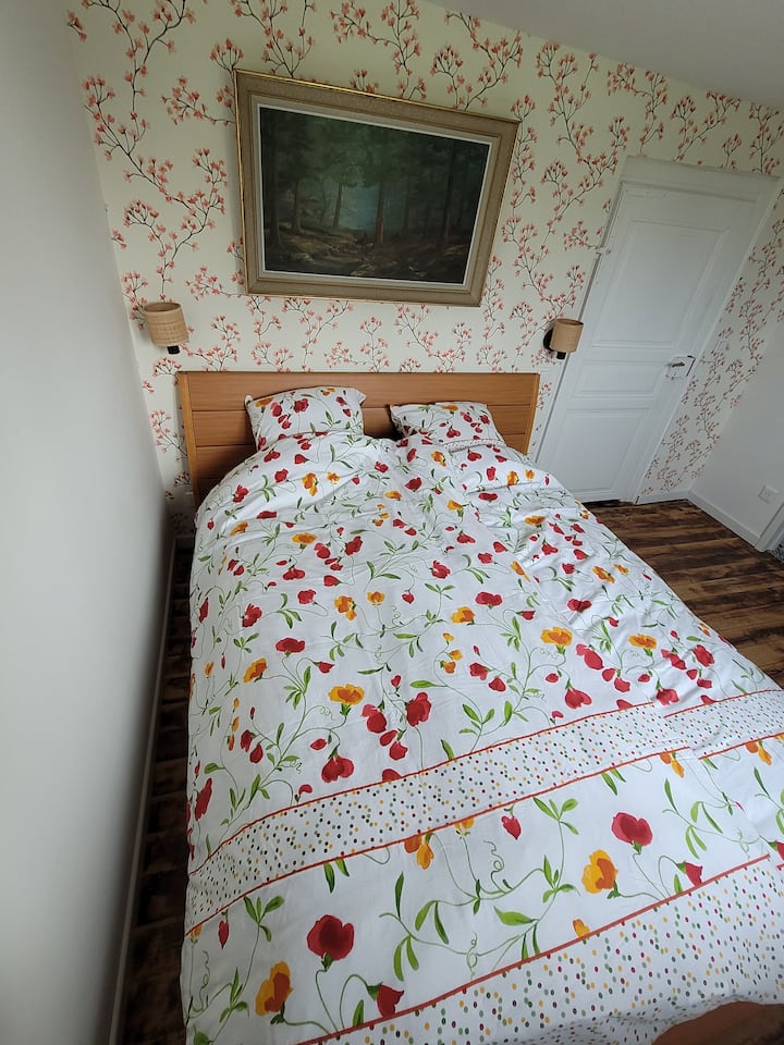 Résidence Des Pigeons Voyageurs - Benfeld