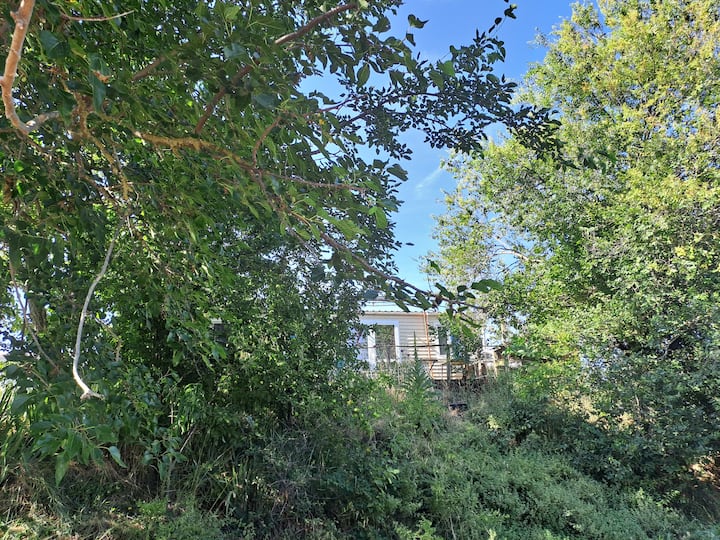 Mobil Home Au Milieu D' Un Centre éQuestre - Saint-Victor