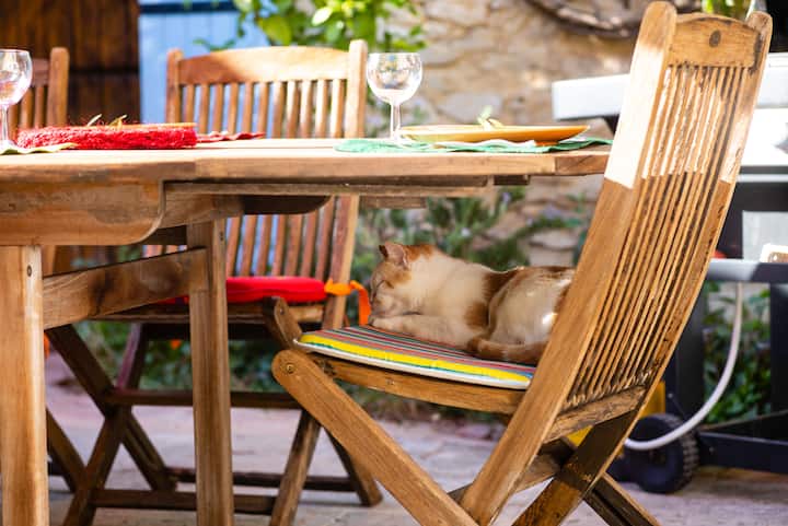 L'escalouri - Mas De Lencieu - Vaison-la-Romaine