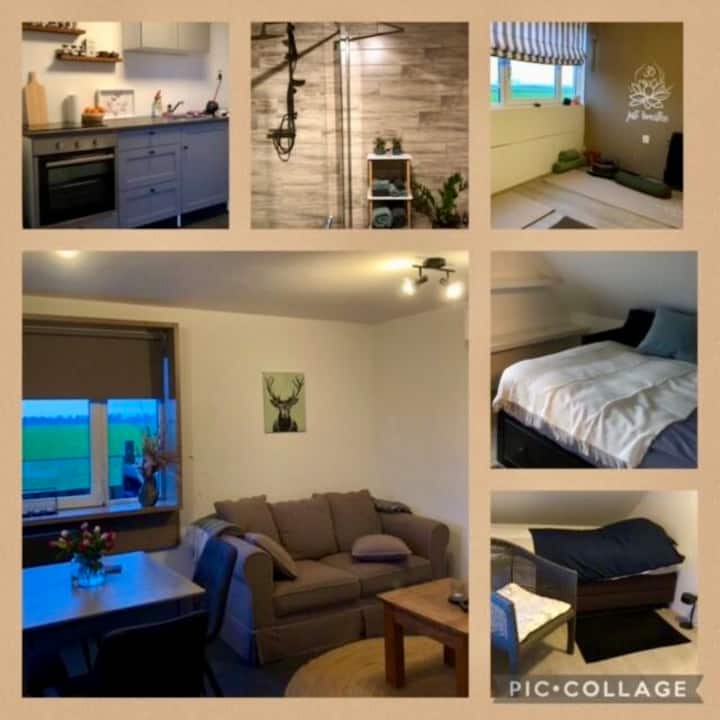 Bi-balance - South Holland