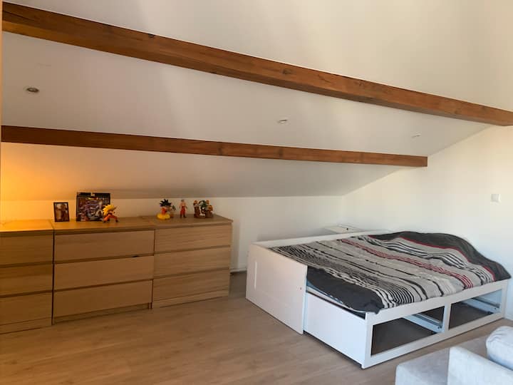 Loue Une Chambre Avec Une Salle De Bain Privative - Annemasse