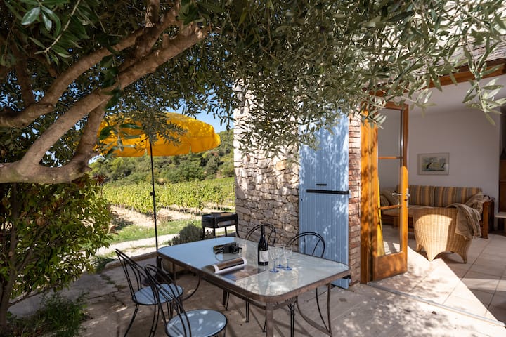 Gîte L'olivier 4 Personnes - Mas De Lencieu - Vaison-la-Romaine