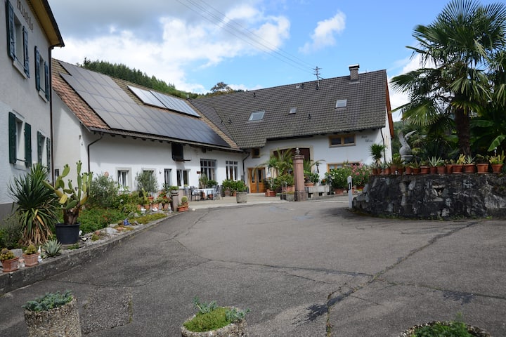 App 95m² D/wc+wc 2 Schlafzimmer Küche Balkon - Badenweiler