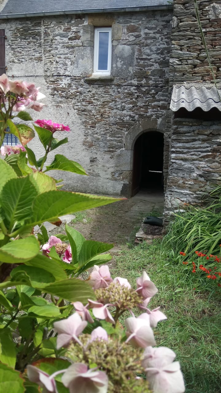 Un Pont Vers Les îLes - 35 M² Cœur De Ville - Le Conquet