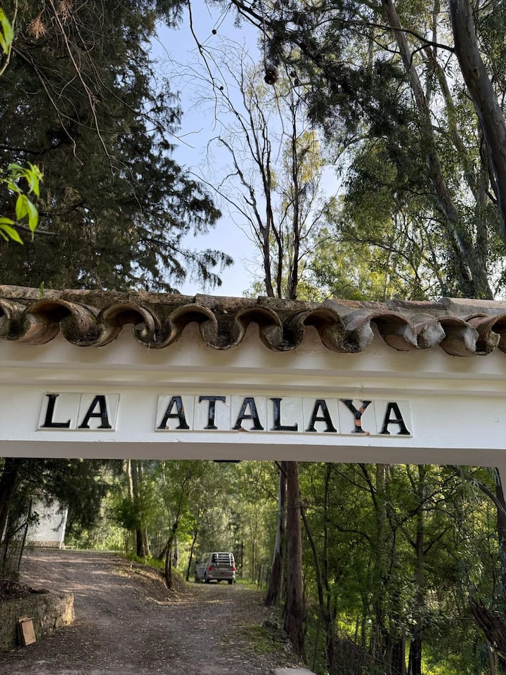 La Atalaya Forest - Grazalema