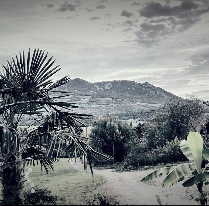 Logement Dans Les Vignes Avec Vue Imprenable - Arbois