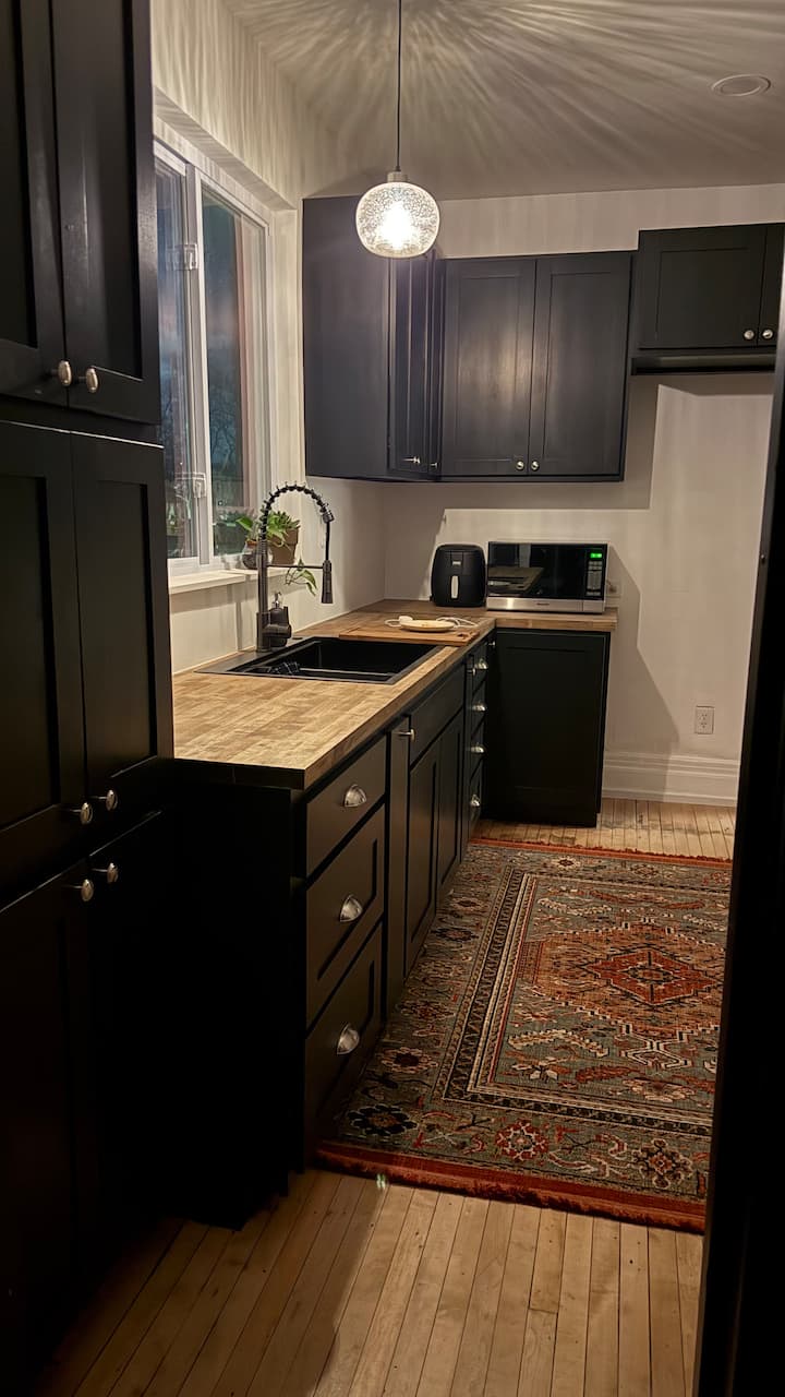 New Center Duplex - Detroit