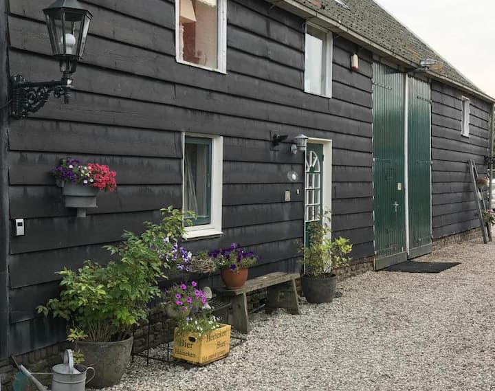 Royaal Familiehuis Voor 6 Pers | Ruimte & Privacy - Domburg