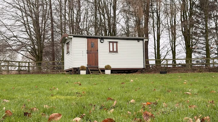 Beech Tree Hut - Ripon