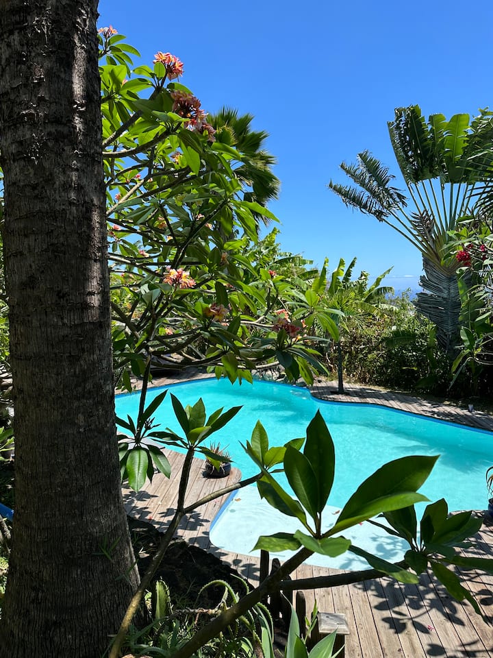 Grande Demeure Tropicale - Réunion