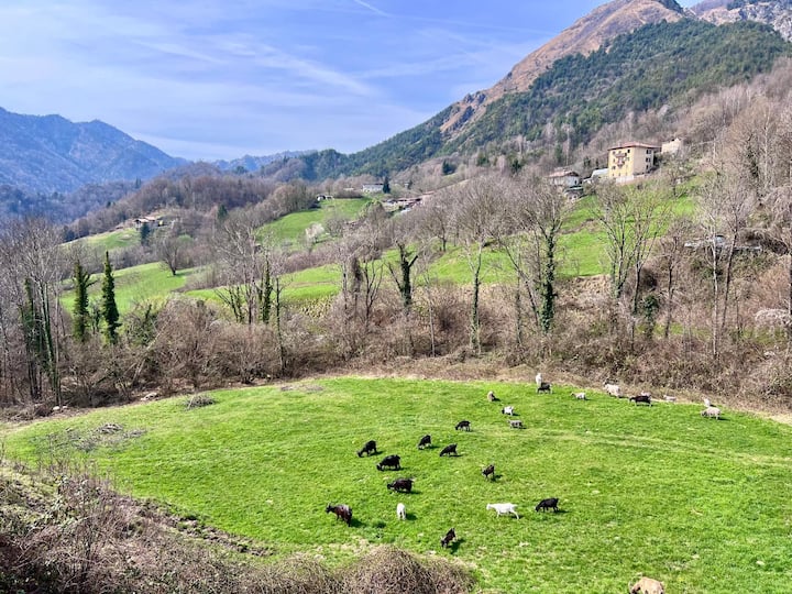 Appartamento “Orchidea” - San Pellegrino Terme