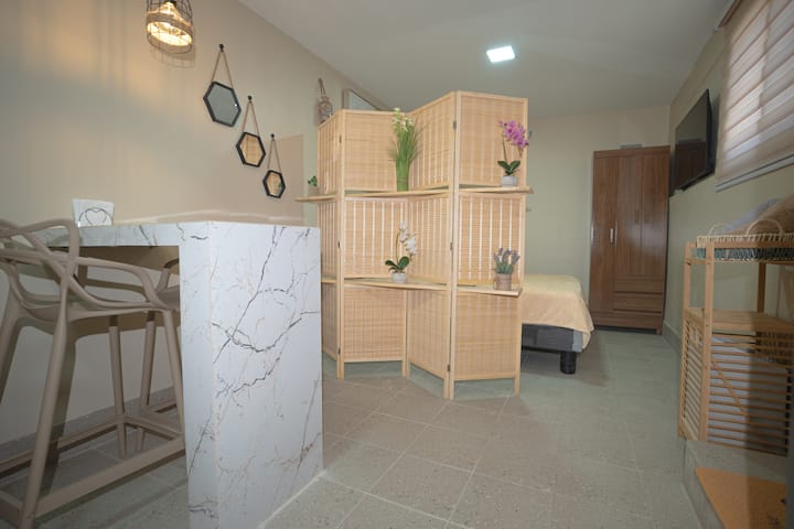 Suite 2 Ambientes A Pasos Del Mar Y Shopping - Playas