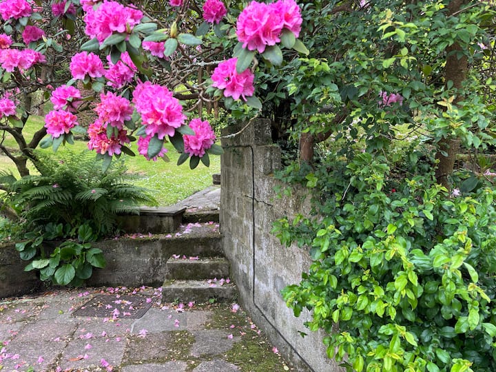 Rocking In Rozel Moments From The Beach - Jersey