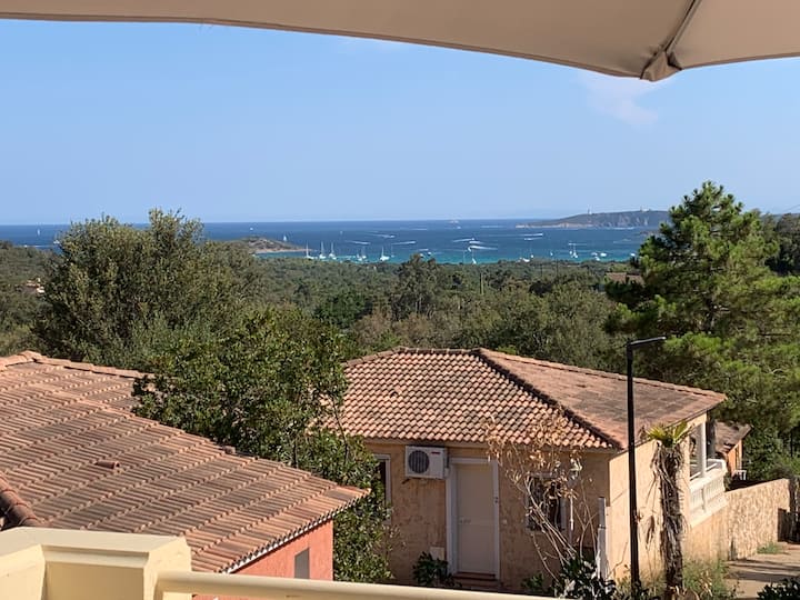 Maison - Zonza