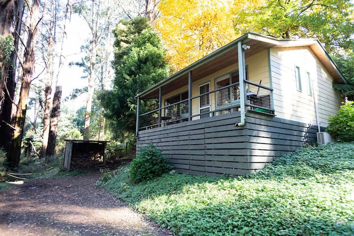 Fern Lee Forest Cabin - Healesville