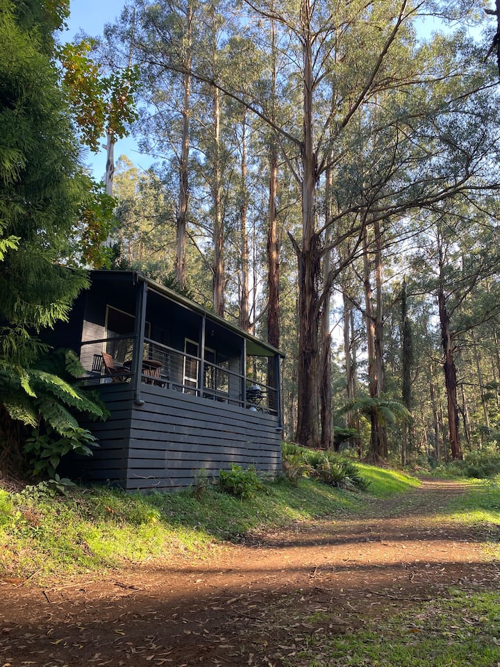 Fern Lee Forest Cabin - Melbourne