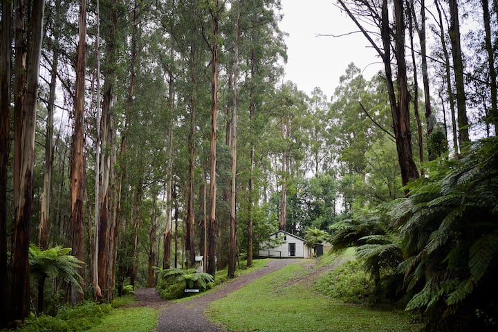 Stringy Bark 2 Bedroom Cabin - Healesville