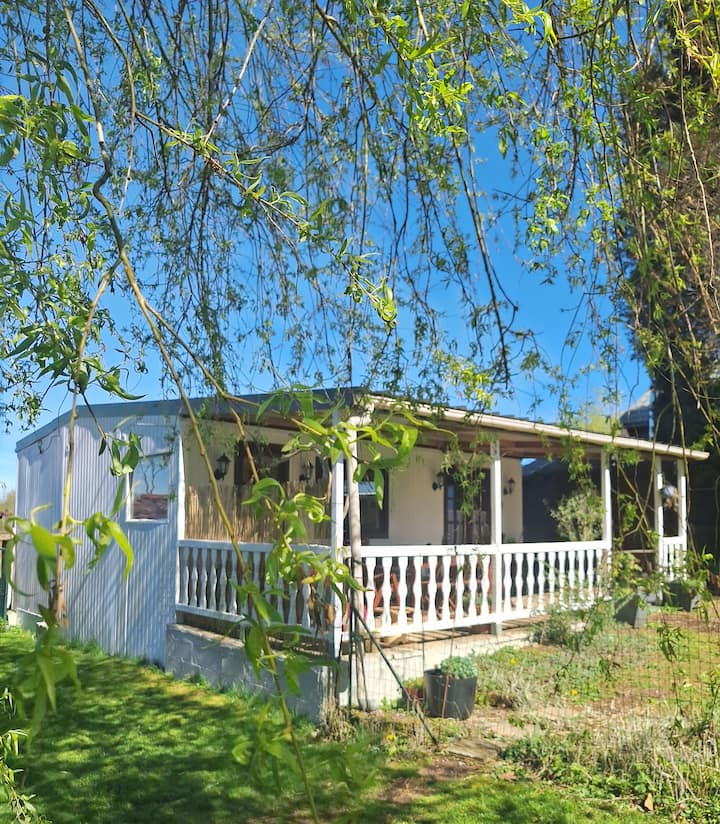 A L'est D'eden - Onhaye