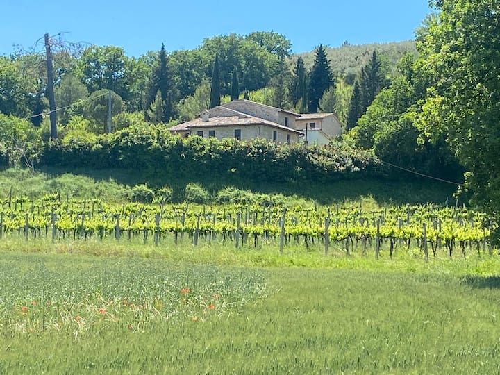 Antico Casale Mevania - Assisi