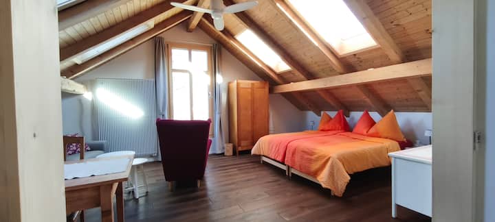 Heimeliges Studio Im Grünen (1 Raum) - Sevelen