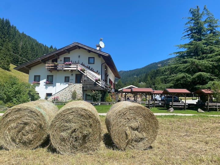 B&b Lozen Camera Con Bagno Privato - Fiera di Primiero