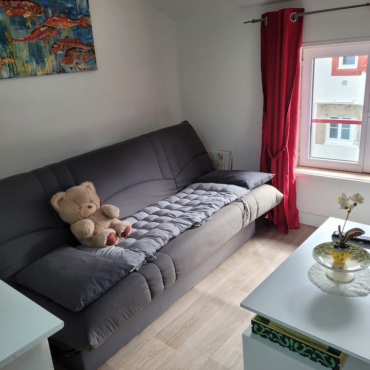 Studio Clair Et Ensoleillé à L'étage D'une Maison - Espelette