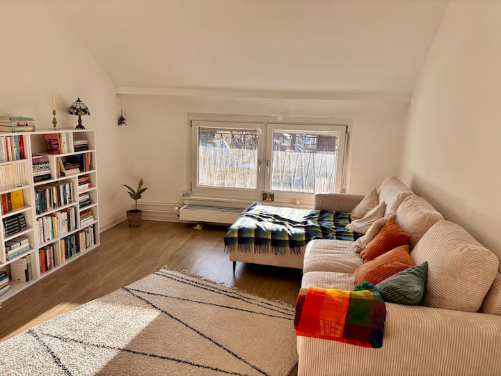 Private Dachwohnung Im Zentrum - Karlsruhe