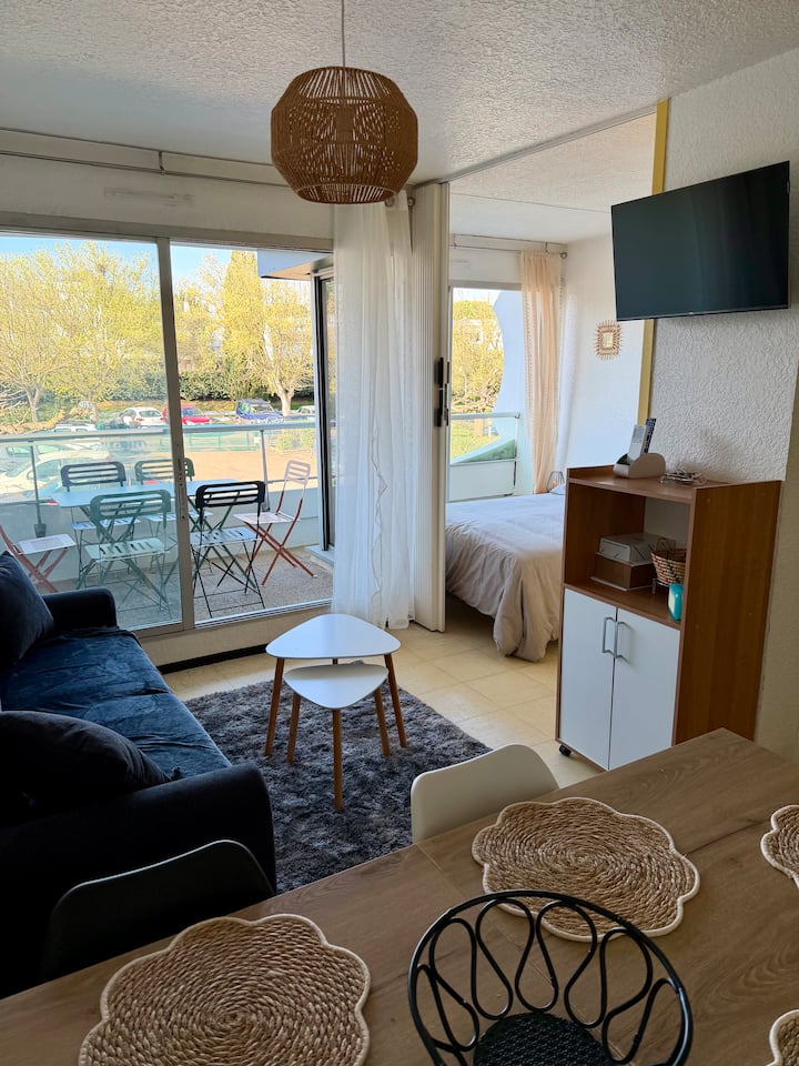 Climatisé, Confort, Piscine Et Parking Privé - La Grande-Motte