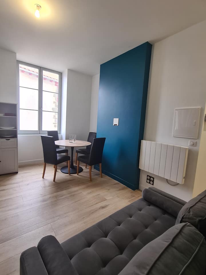 Au Cœur De La Vieille Ville Du Puy-en-velay - Le Puy-en-Velay