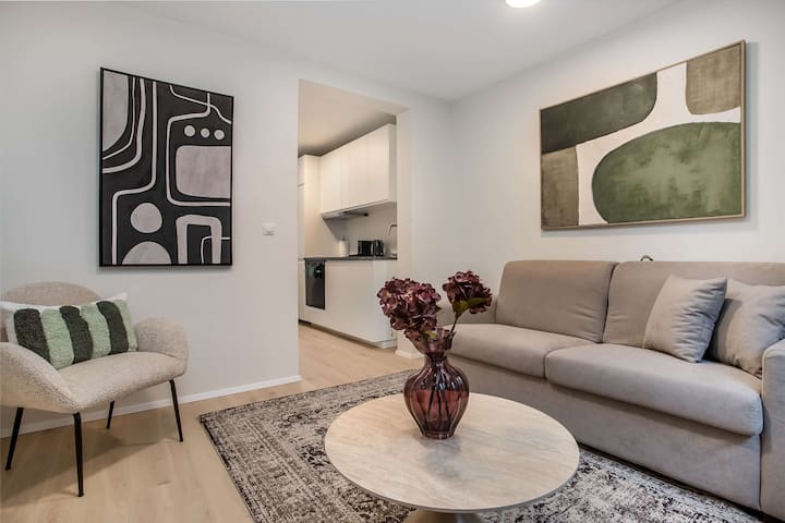 Tys One Bedroom Basement Apartment - Reykjavik