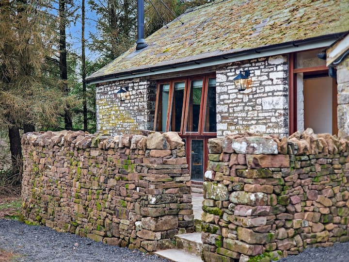 Cwmcynwyn Farm Cottage - Brecon