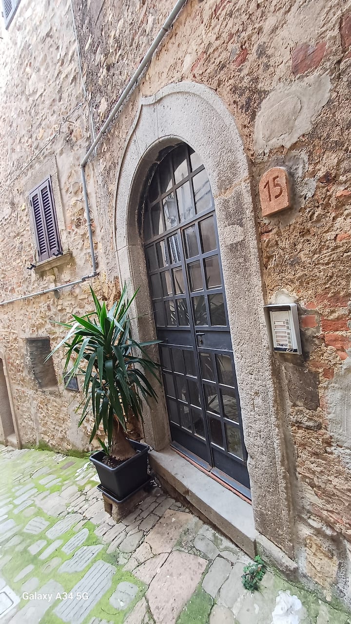 Einfaches, Charmantes Studio In Altem Palazzo - Castagneto Carducci