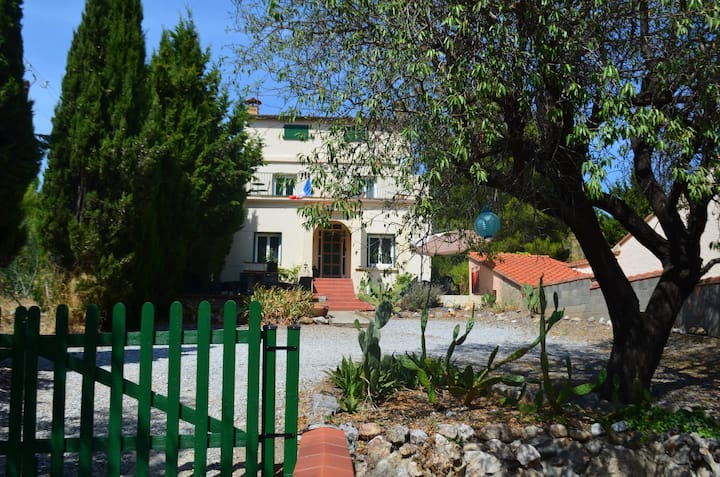 L'amandier
Chambre Azur 
Chambre Tropique - Cucugnan