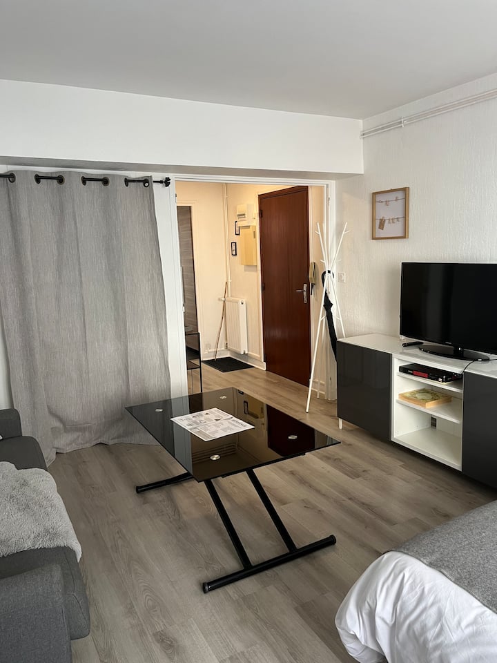 Le Nid Des Thermes + Parking - Centre - Vichy