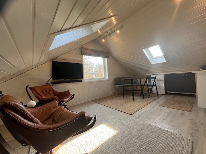 Hyggelig Og Nyoppusset Studioleilighet - Kristiansand