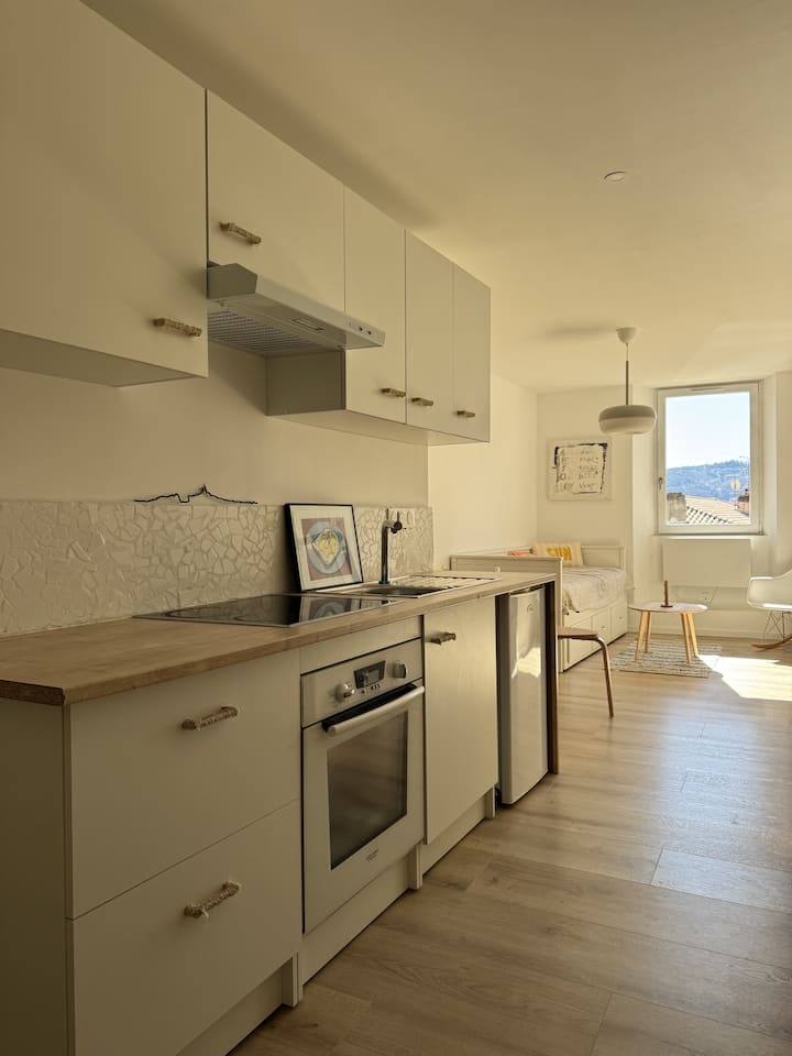 Grand Studio/t2 Le Villageois - Centre Historique - Sisteron