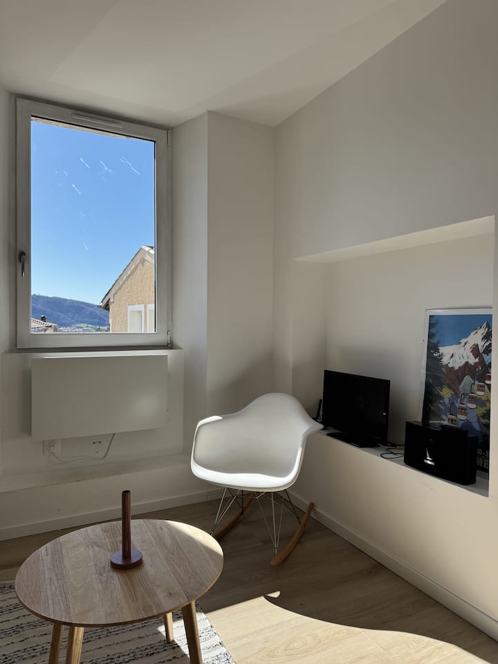 Grand Studio/t2 Le Villageois - Centre Historique - Sisteron