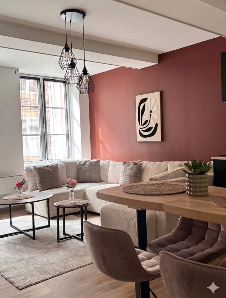 Cocon à 100m De La Place Ducale - Charleville-Mézières