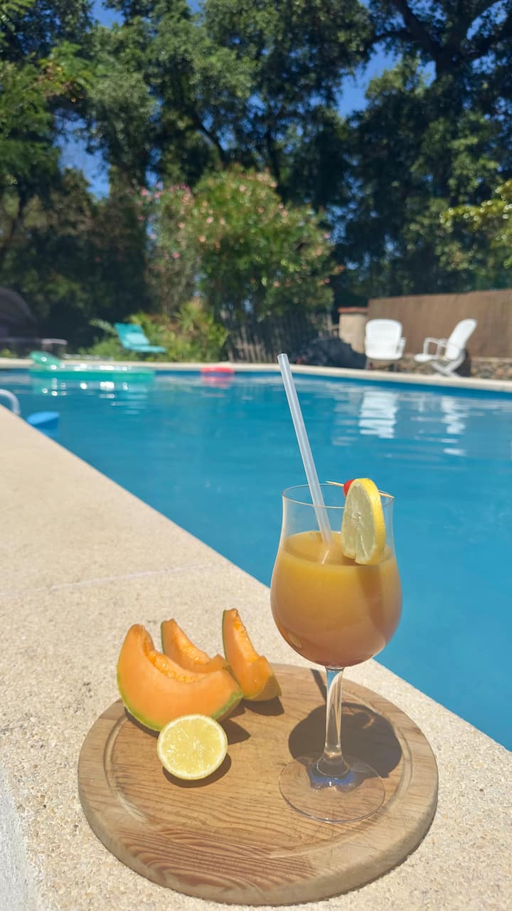 F2 Vintage Rénové • Nature, Piscine Et Calme - Céret