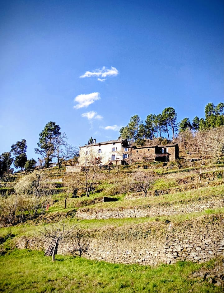 Les 2 De Mazel, N°2bis, Votre Petit Cocon Cévenol - Lozère