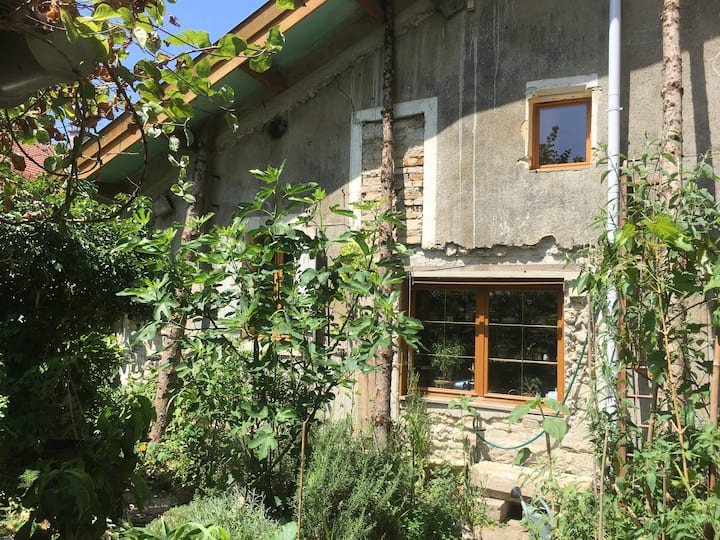 Maison Permaculture - Bar-le-Duc