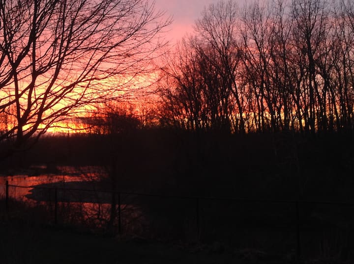 Quiet Cozy Luxury On The Thames - London, ON, Canada