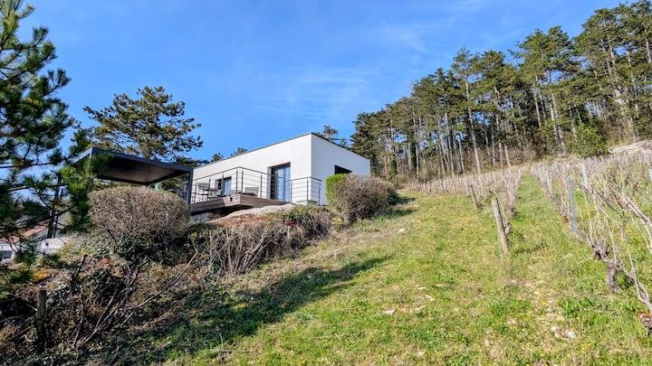 Savigny Vineyard View & Spa - Savigny-lès-Beaune