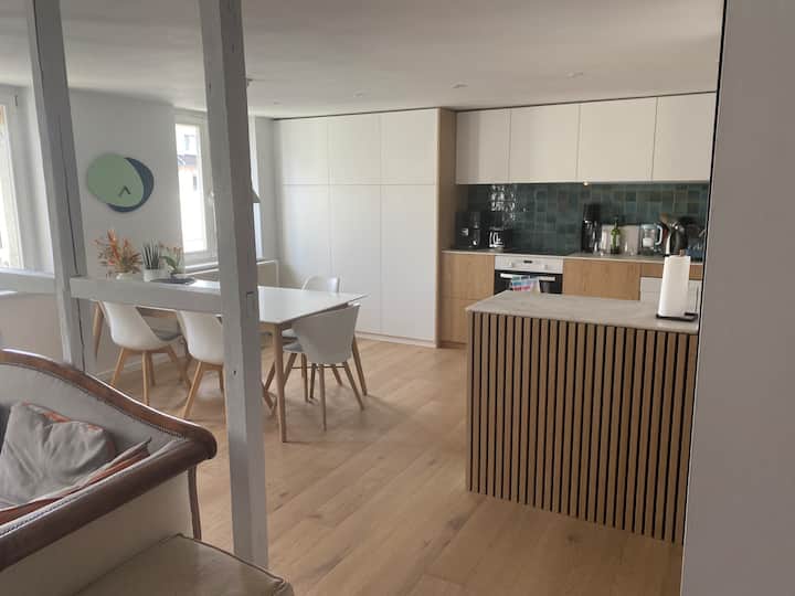Appartement Spacieux Et Lumineux Centre Ville - Strasburg