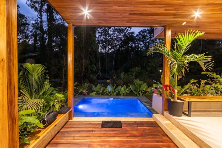 New Luxury Private Villa | Pool • Beach Access - Punta Uva