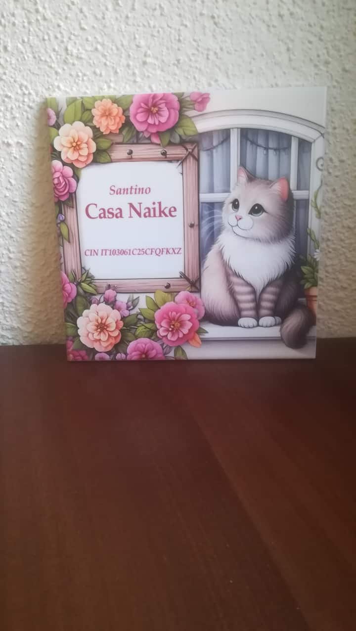 Appartamento Ben Ristrutturato Inizio Val Grande - Verbania