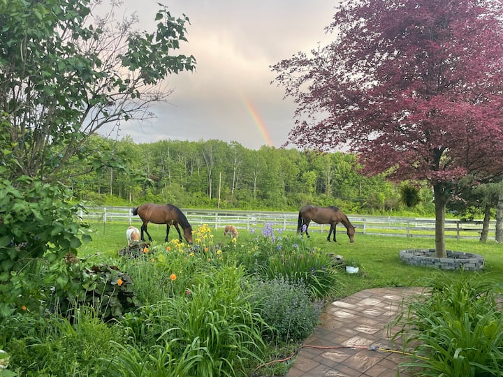 Punto Pino Farm Stay - Millbrook, NY