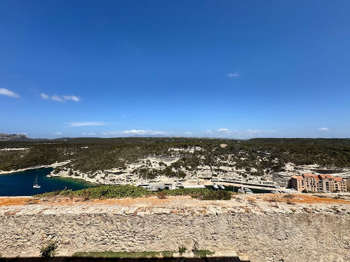 Ecrin De Luxe Dans La Haute-ville - Plage du petit Sperone
