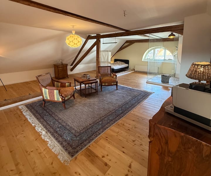 Dachstudio In Haustierfreundlicher Hofreite - Mayence